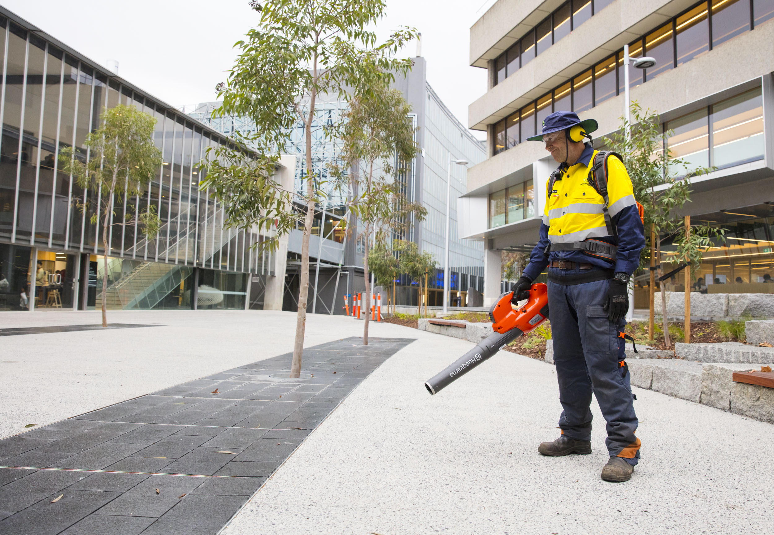Understanding the World of Universities and Maintenance - Programmed NZ ...