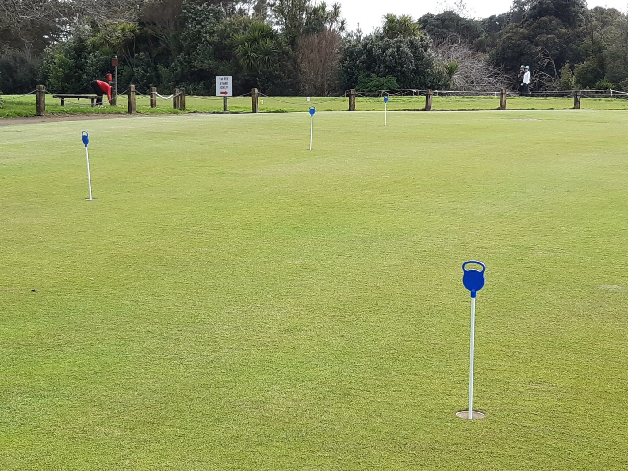 Programmed Facility Management Cultivating Sustainability at ...